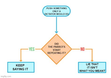 Politics Flowchart Blank Memes And S Imgflip