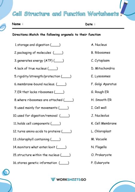 Metric Conversion Worksheets Worksheetsgo