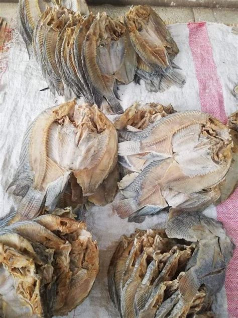 Peixe Seco Chicoa Do Zambeze A Janela Moçambicana Facebook