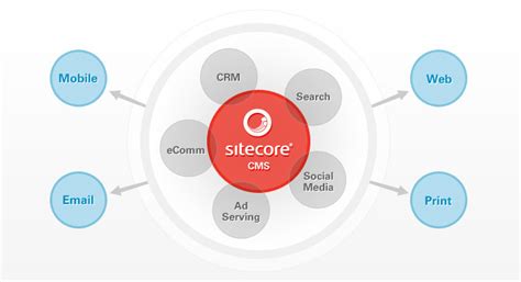 Sitecore Cms Concepts Patil