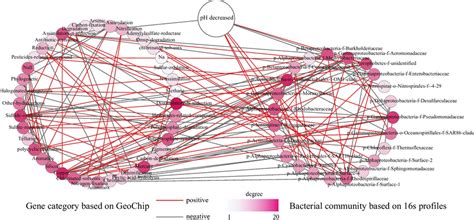 Network Co Occurrence Analysis Of Microbial Taxa And Gene Categories Download Scientific