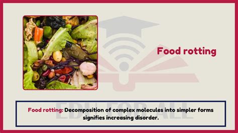 10 Daily Life Examples Of Entropy