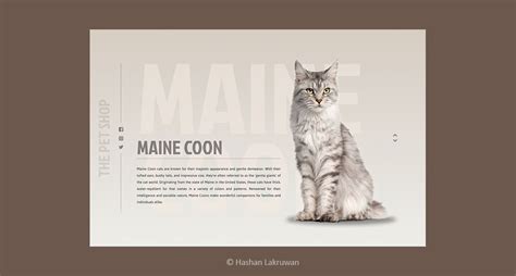 Hashan Lakruwan On Linkedin Mainecoonmagic Webdesign Felineenthusiasts