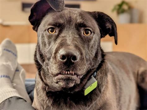 Andy M Mallon Am² Databases And Diversity — Checking Integrity