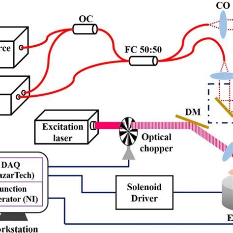 Schematic Diagram Of Modified Swept Source Optical Coherence Tomography Download Scientific