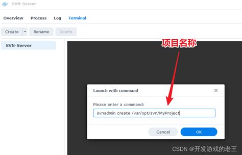 技术杂文：群晖上docker版svn服务器从搭建到访问的全程记录群晖svn服务器 Csdn博客