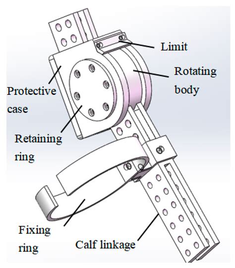 Design And Research Of Series Actuator Structure And Control System Based On Lower Limb