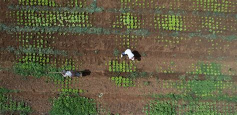 With New Geospatial Tools Mapping Environmental Impact Is As Easy As Abc