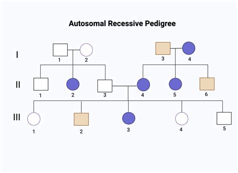 Pedigree Analysis Types Chart Symbols Methods Examples Biology Notes Online