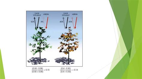 Normalized Difference Vegetation Index Pptx