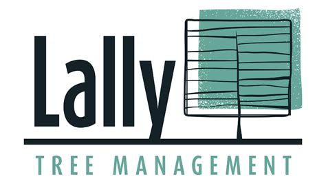 Tree Decay Detection Advanced Tree Inspections