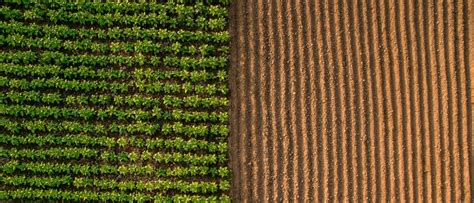 Understanding Sbti Flag Guidance For Land Use Sector — Biocode