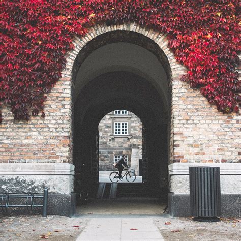 Understanding Infp Shadow Functions Understanding Infp Shadow Functions