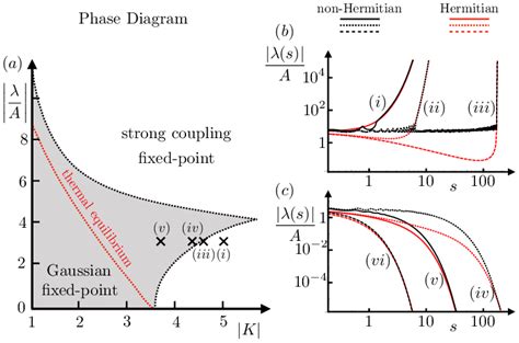 A Phase Diagram Of The Non Hermitian Sine Gordon Field Theory