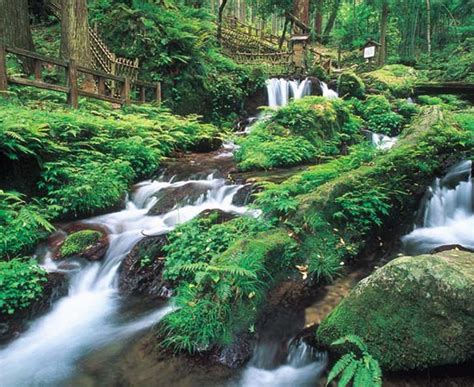 瓜割の滝へLets Go 福井の観光名所を巡ろう 日々URALAウララ福井県のおすすめ情報