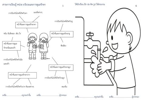 ใบงาน หน่วย สื่อปฐมวัย มีเดีย ใบงาน แจกฟรี By ครูบี