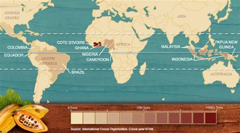 Production Cocoa Beans