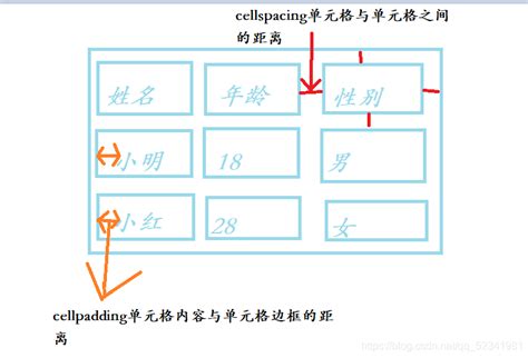 html常用标签（表） captain html csdn博客