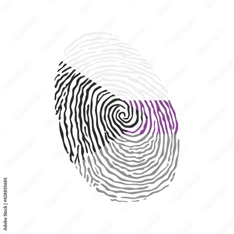 Fingerprint Vector Colored With The Demisexual Pride Flag Isolated On