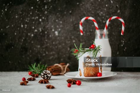 가루 설탕과 신선한 베리로 장식 된 크리스마스를위한 전통적인 과일 케이크 공간 복사 0명에 대한 스톡 사진 및 기타 이미지 0명 겨울 계피 Istock