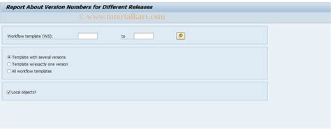 SW SAP Tcode Delivery Verification Transaction Code