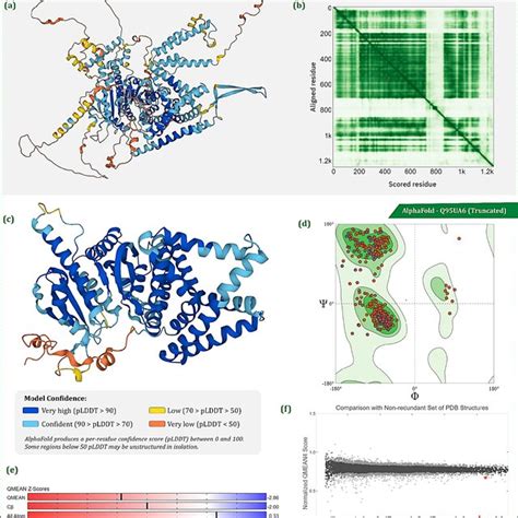 Shows The Protein Docked With Curcumin And Polyoxin D With Protein