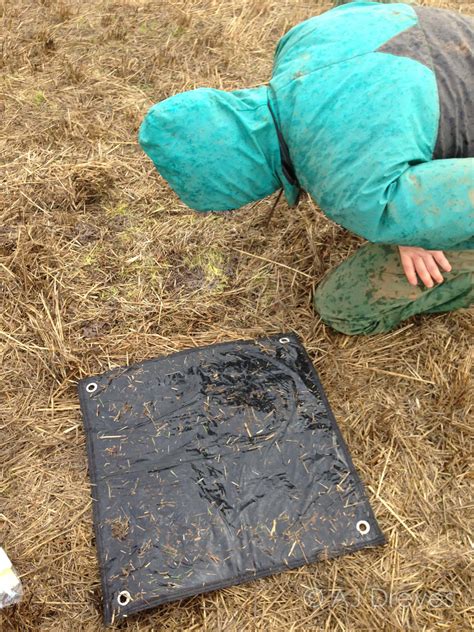 Measuring Slug Activity And Density College Of Agricultural Sciences