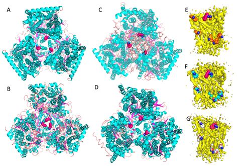 Protein Crystal Structure
