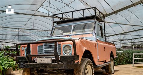 온실 안에 주차된 주황색과 파란색 트럭 사진 Unsplash의 무료 이미지