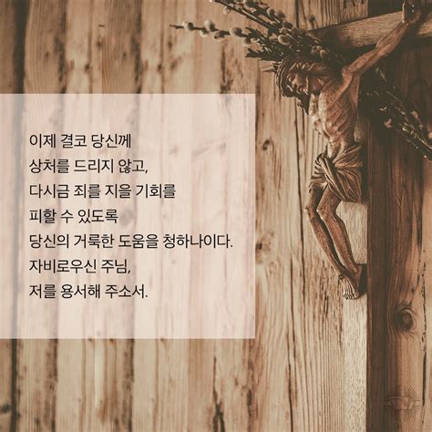 가톨릭출판사 통회 기도 판공성사 고해성사의 은총을 준비하는 통회의 기도 고해성사를 앞두고