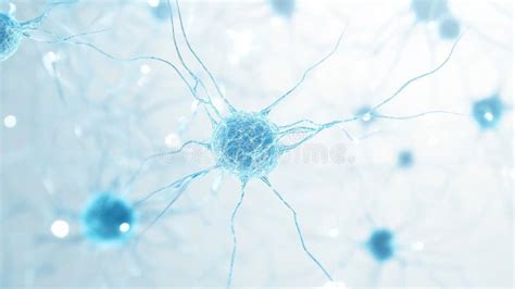 Close Up Of Neural Network Neurons In Soft Blue Glow Highlighting Connectivity And Complex