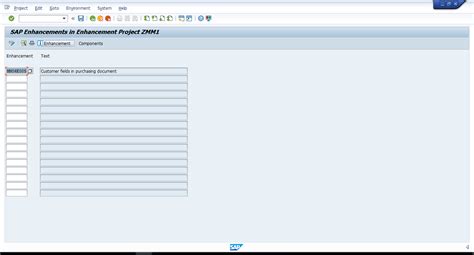 adding customer z fields to purchase orders sap community