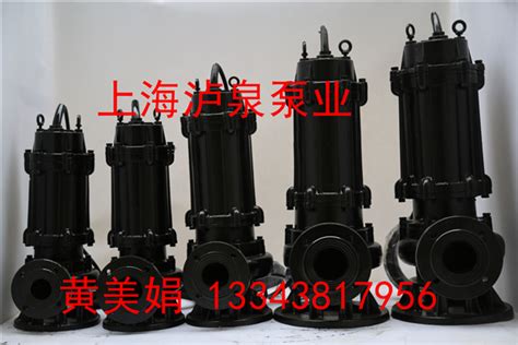上海市节能高效直供WQ QW型潜水排污泵 WQ 厂家价格800元 台 排污泵 上海泸泉泵业有限公司 中国泵阀网 zgbfw