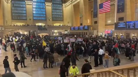 Several People Arrested After Hundreds Of Pro Palestinian Protesters