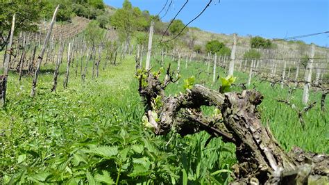 oop in python — part 1 object oriented programming basics in… by