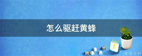怎么驱赶黄蜂 业百科