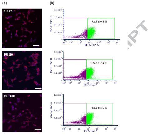Figure 3 From Alternating Block Copolymer Based Nanoparticles As Tools To Modulate The Loading