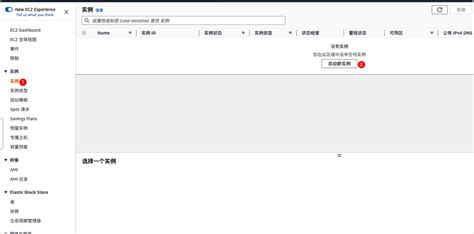 薅亚马逊云AWS大羊毛免费创建Ubuntu服务器搭建V Ray实现科学上网