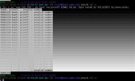 terminal escape code zen