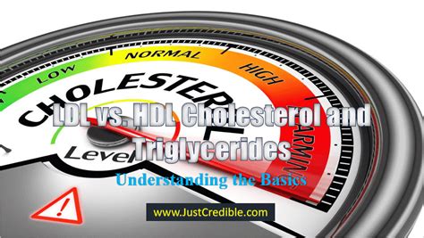 LDL Vs HDL Cholesterol And Triglycerides Understanding The Basics Just Credible
