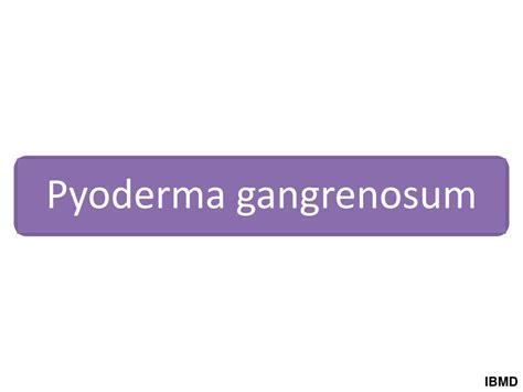 Ppt Pyoderma Gangrenosum Powerpoint Presentation Free Download Id