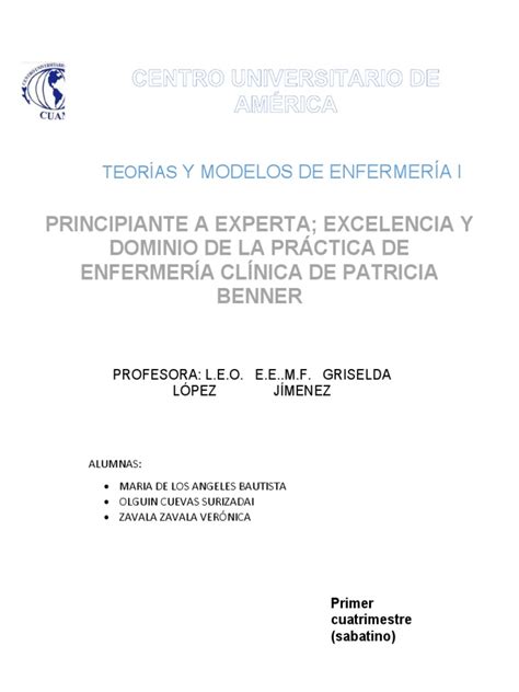 Teoría De Benner De Principiante A Experto Pdf Enfermería Enseñando
