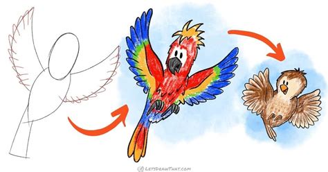 How To Draw Birds With Numbers