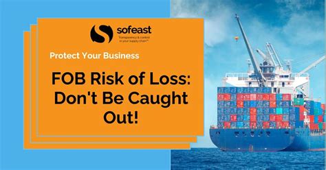 FOB Risk Of Loss Is A Real Problem Dont Be Caught Out Sofeast
