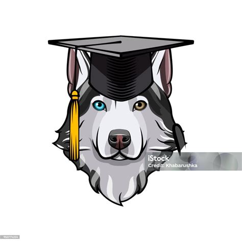 시베리아 허스키 졸업입니다 졸업 캡 모자입니다 개 품종입니다 벡터입니다 개에 대한 스톡 벡터 아트 및 기타 이미지 개 졸업식 개과 Istock