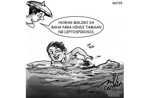 Editoryal — Bantayan Pagdami Ng Kaso Ng Leptospirosis Pilipino Star