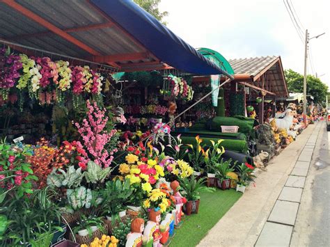 ตลาดต้นไม้ คลอง 15 ใหญ่จนต้องขับรถชม