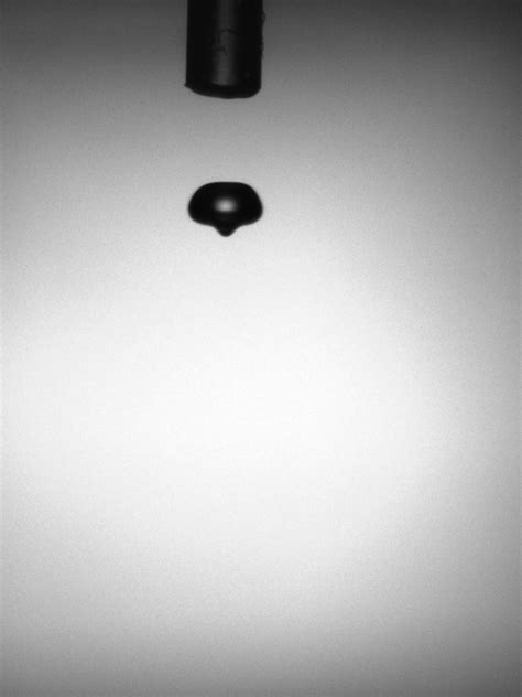 Resize Test Object Detection Dataset By Iat