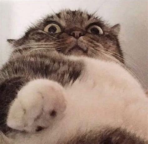 Esskayuwu Esskayuwu Posts X