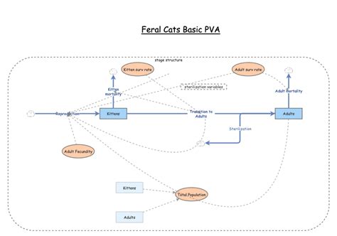 Clone Of Feral Cats Basic PVA Insight Maker